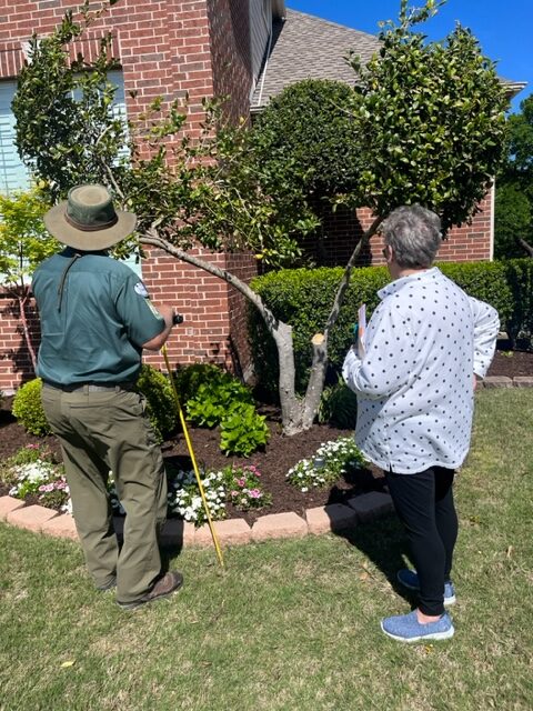 Consulting - Advanced Tree & Shrub Care, Inc.